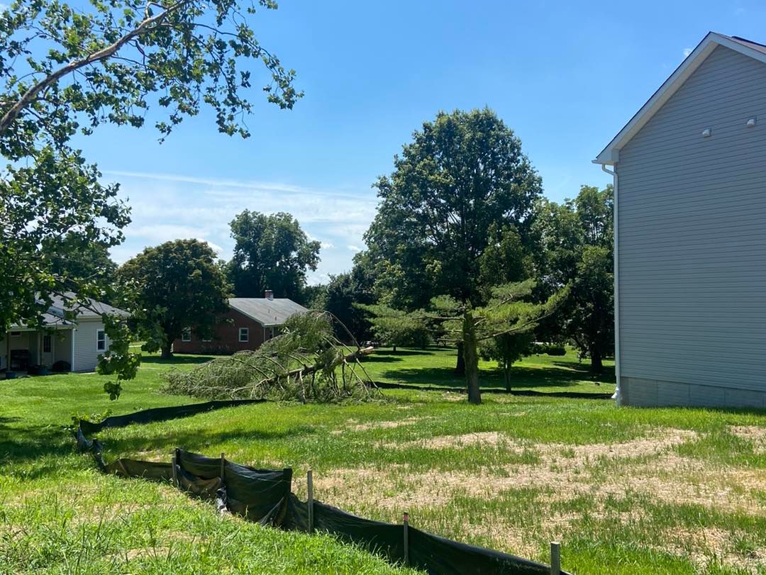 Landscaping Projects | Cecil County, MD | Banks Land Management