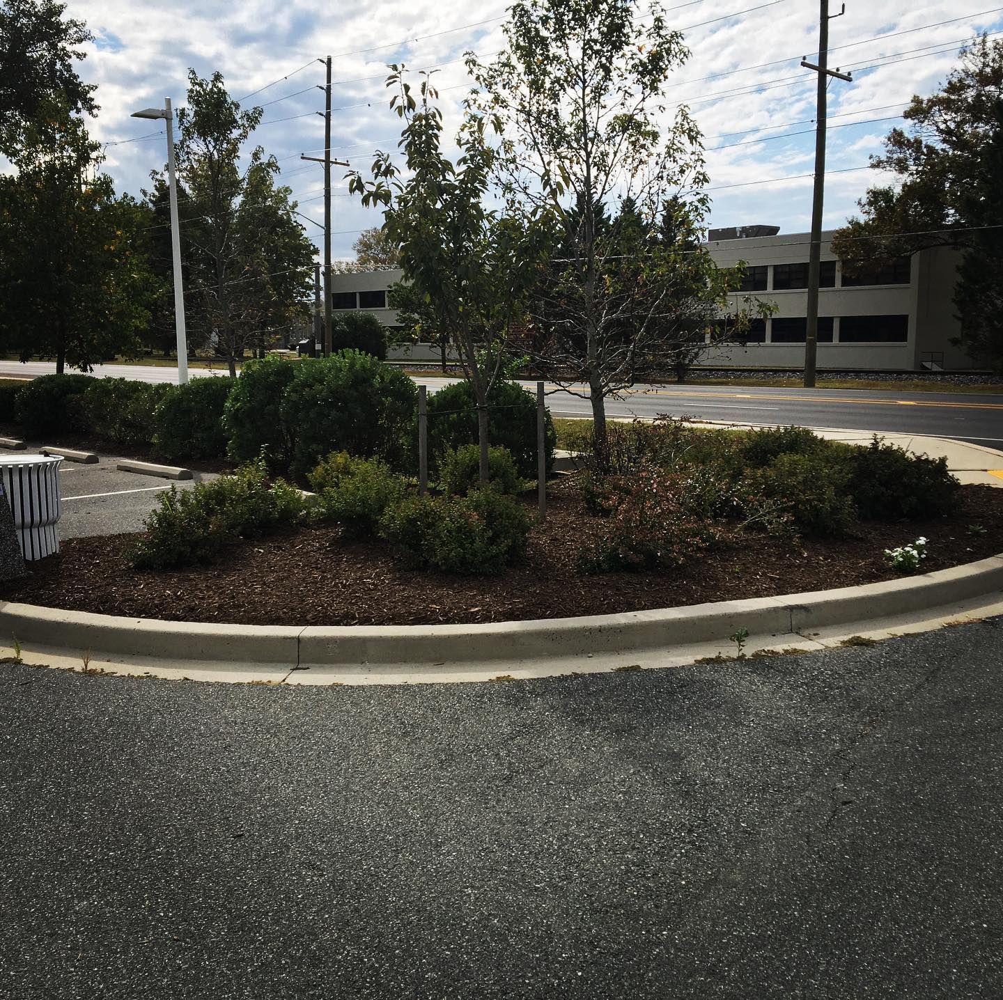 Landscaping Projects | Cecil County, MD | Banks Land Management