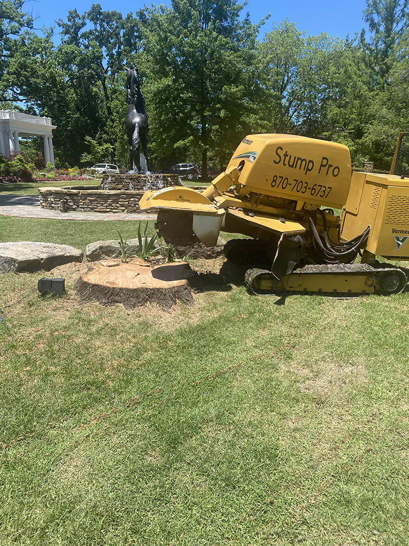 Stump Grinding Company & Stump Grinding Service | Hot Springs, AR ...