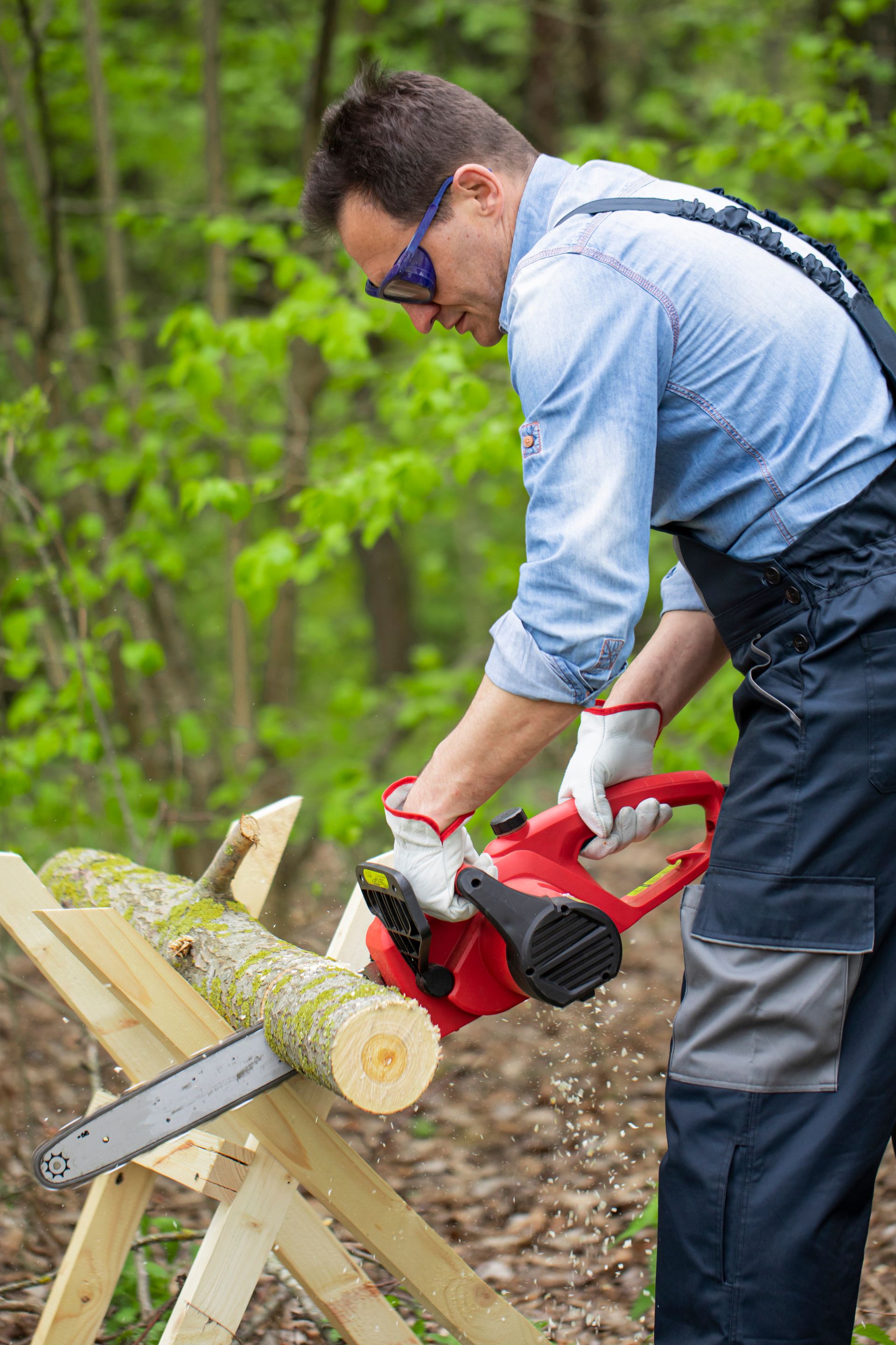 Stump Grinding Company & Stump Grinding Service | Hot Springs, AR ...
