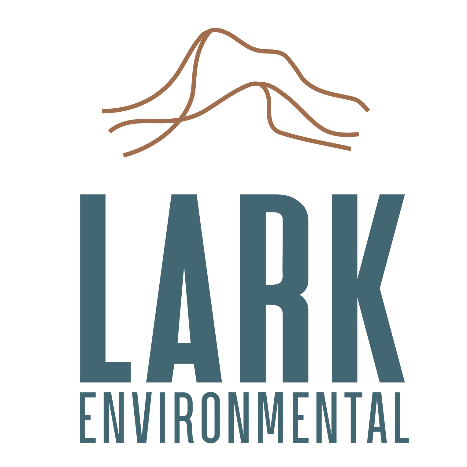Internship Opening | Lark Environmental