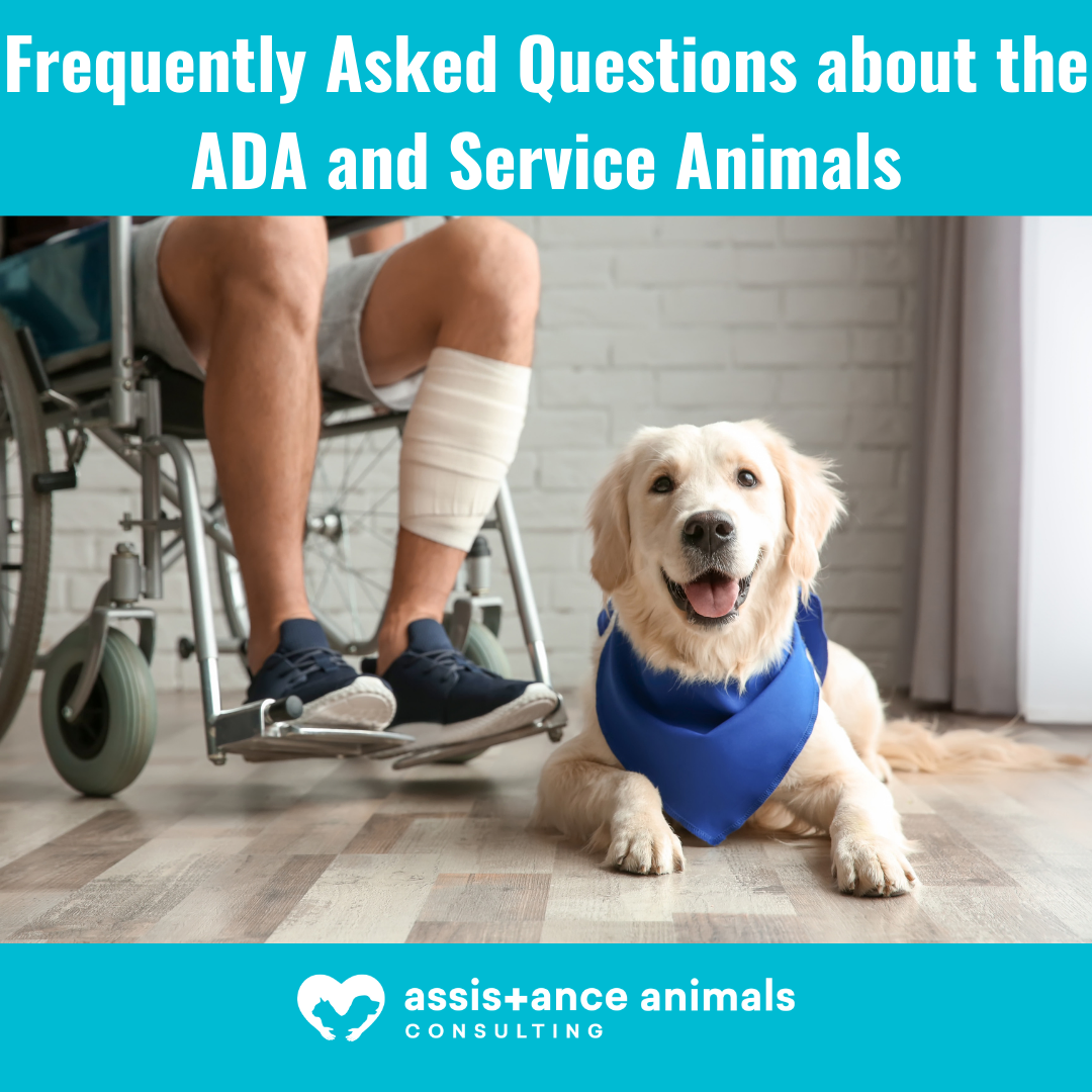 26 Frequently Asked Questions about the ADA and Service Animals