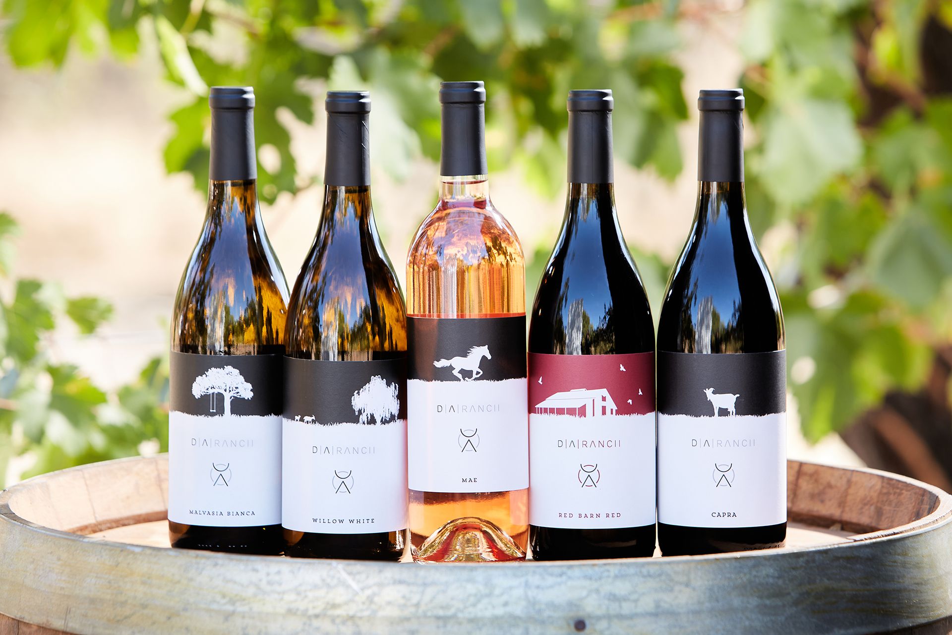 Wine Tastings & Events | Da Ranch | Cornville, AZ