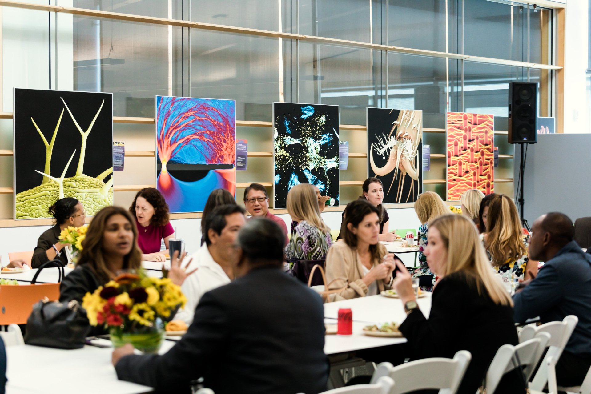 Palm Health Foundation’s NeuroArts Panel Connects Beauty and the Brain