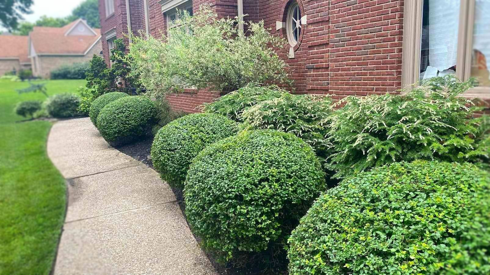 Bluegrass Gardening | Landscaping In Louisville, KY