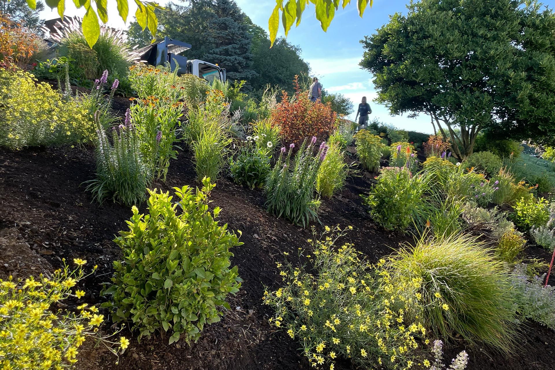 Tailored outdoor spaces for beauty & sustainability. Get expert ...