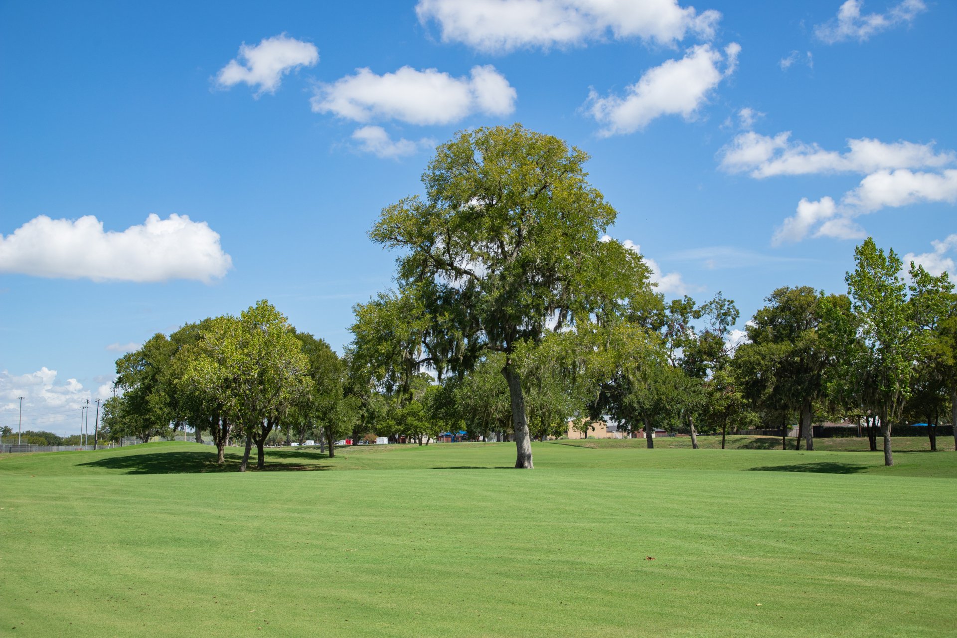 Sweetwater Country Club Golf