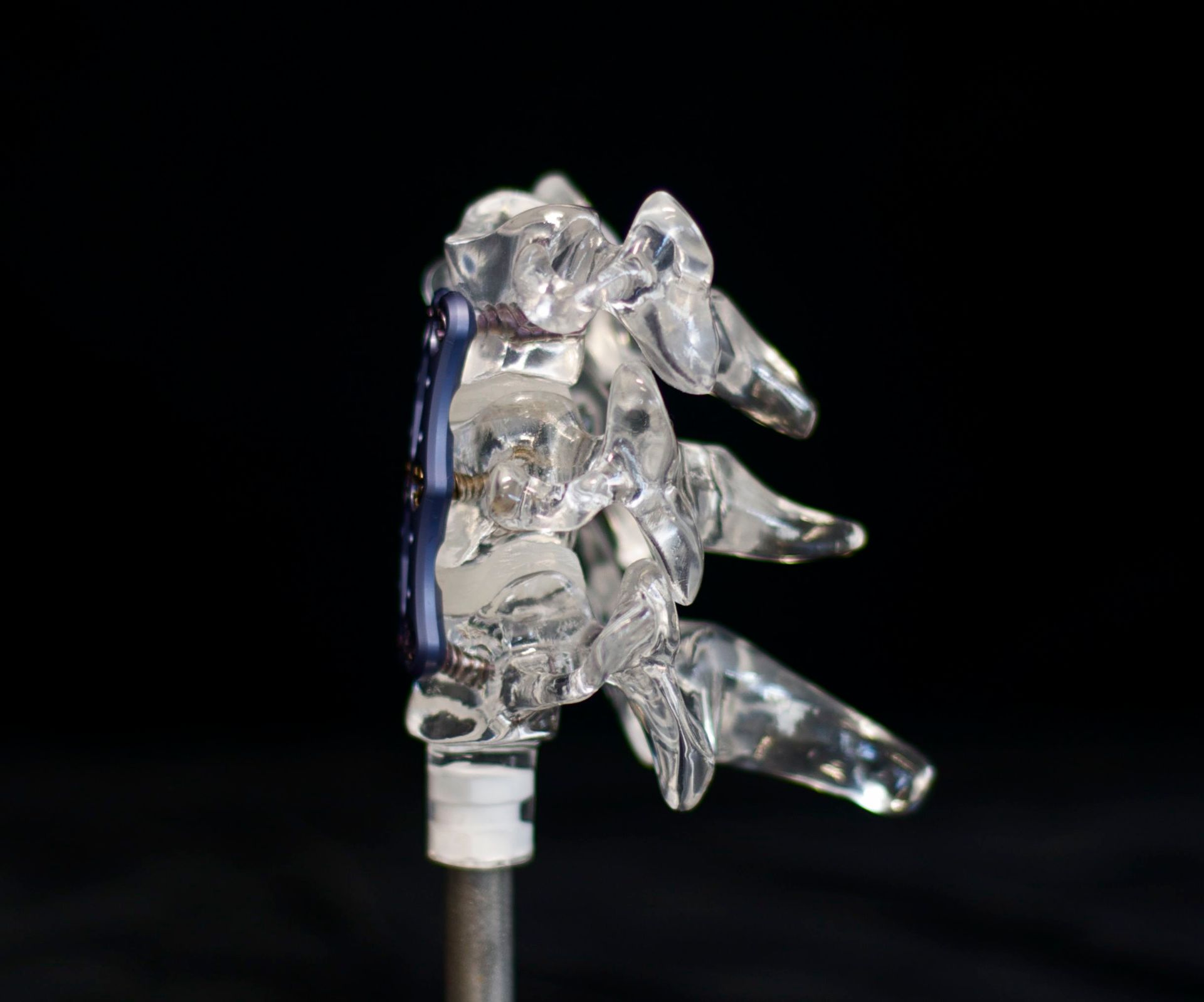 Neuro-Spine Models & Surgical Procedures | Melbourne