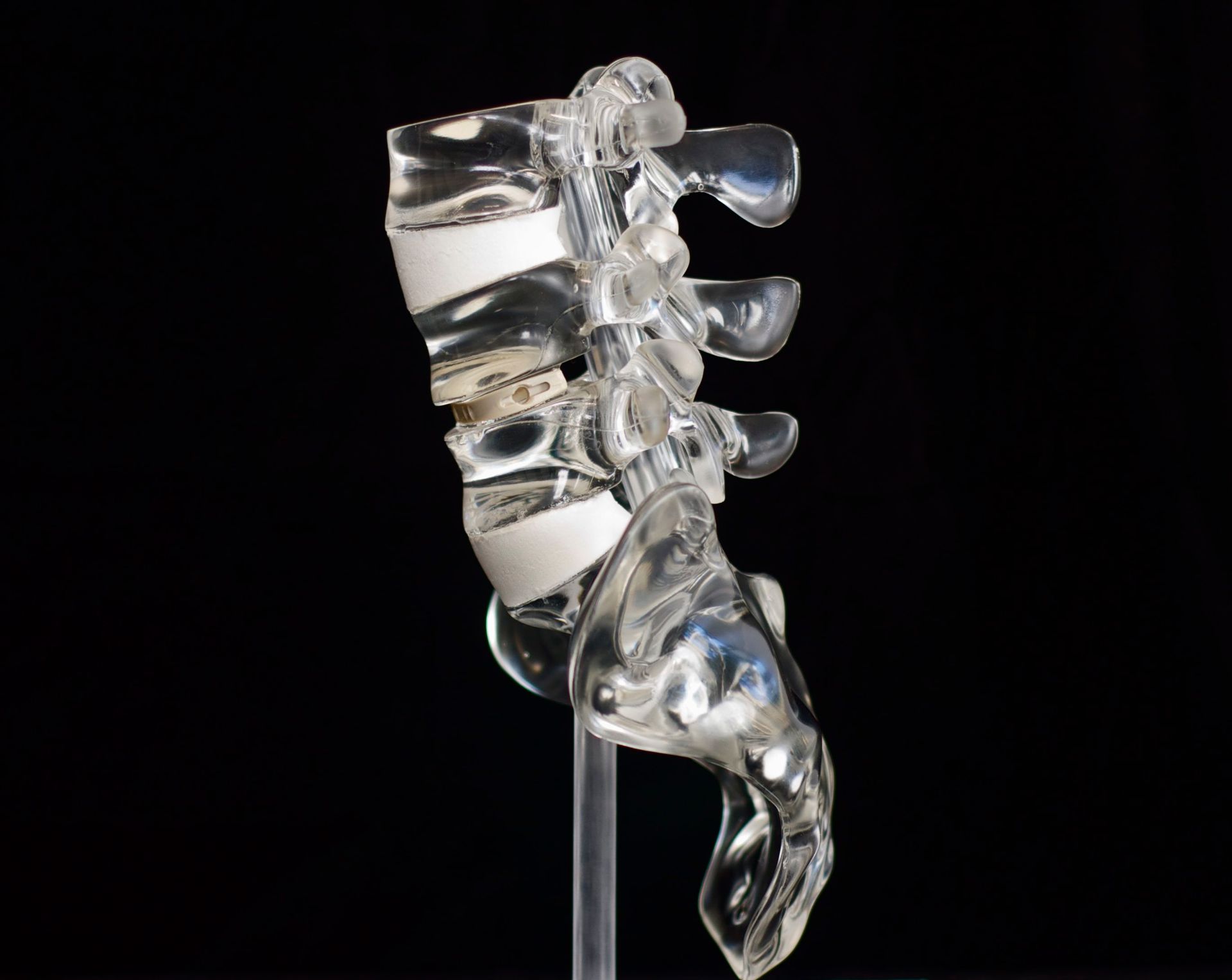 Neuro-Spine Models & Surgical Procedures | Melbourne