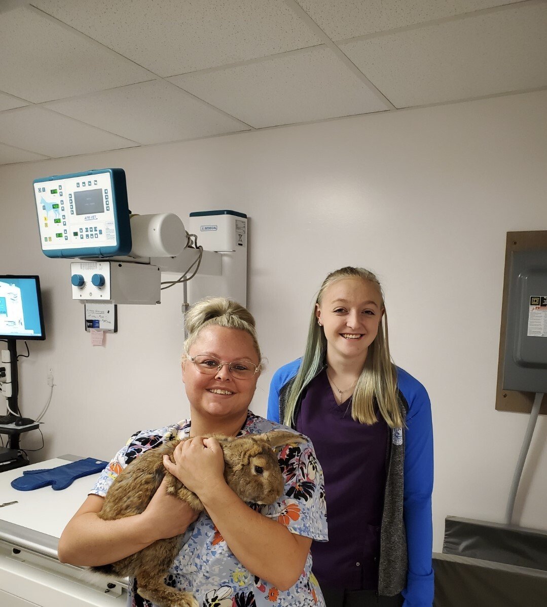 Quality Pet Medical & Surgical Services | Loysville, PA | Tri-County ...