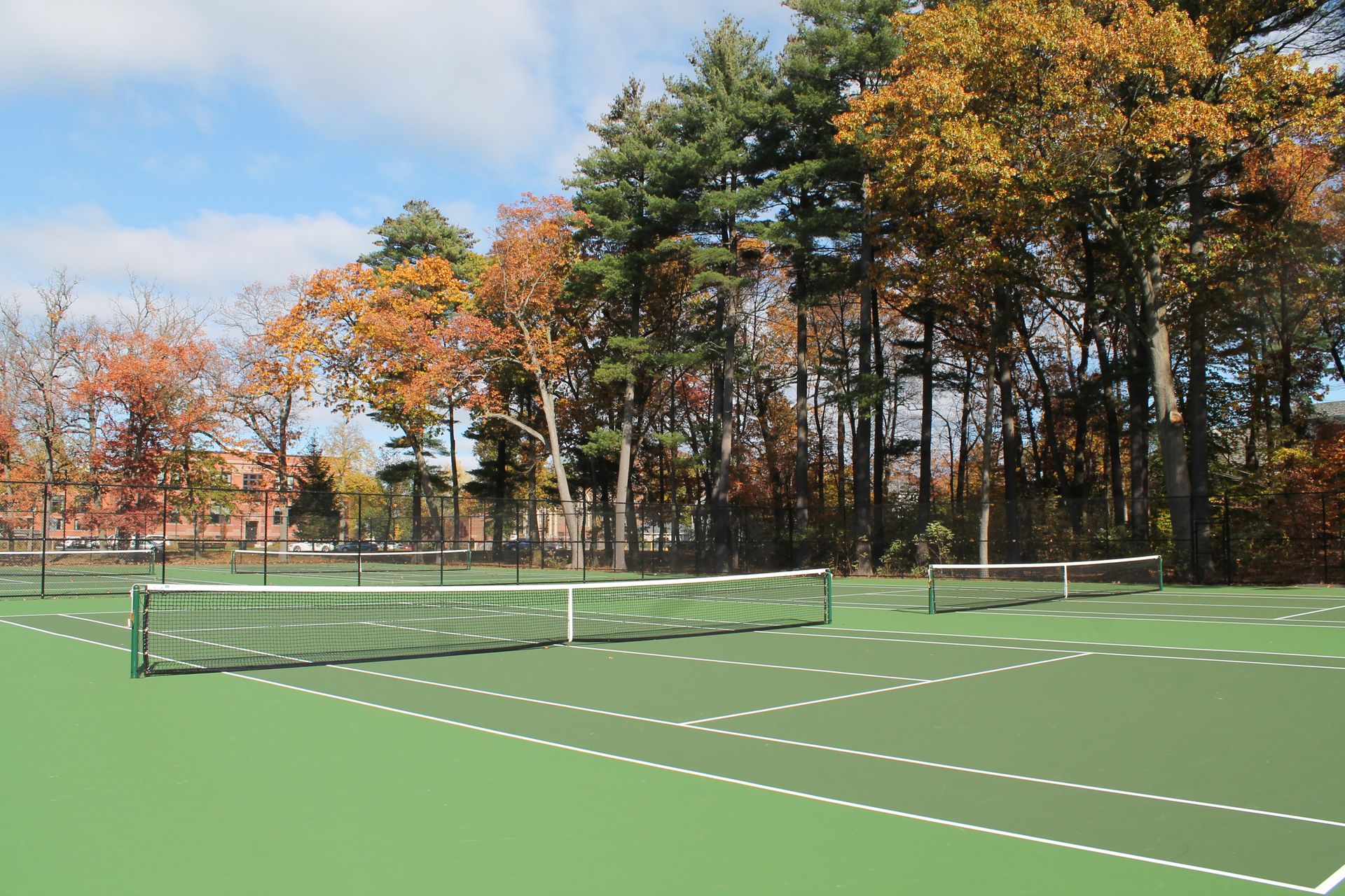 About Springfield Tennis Club