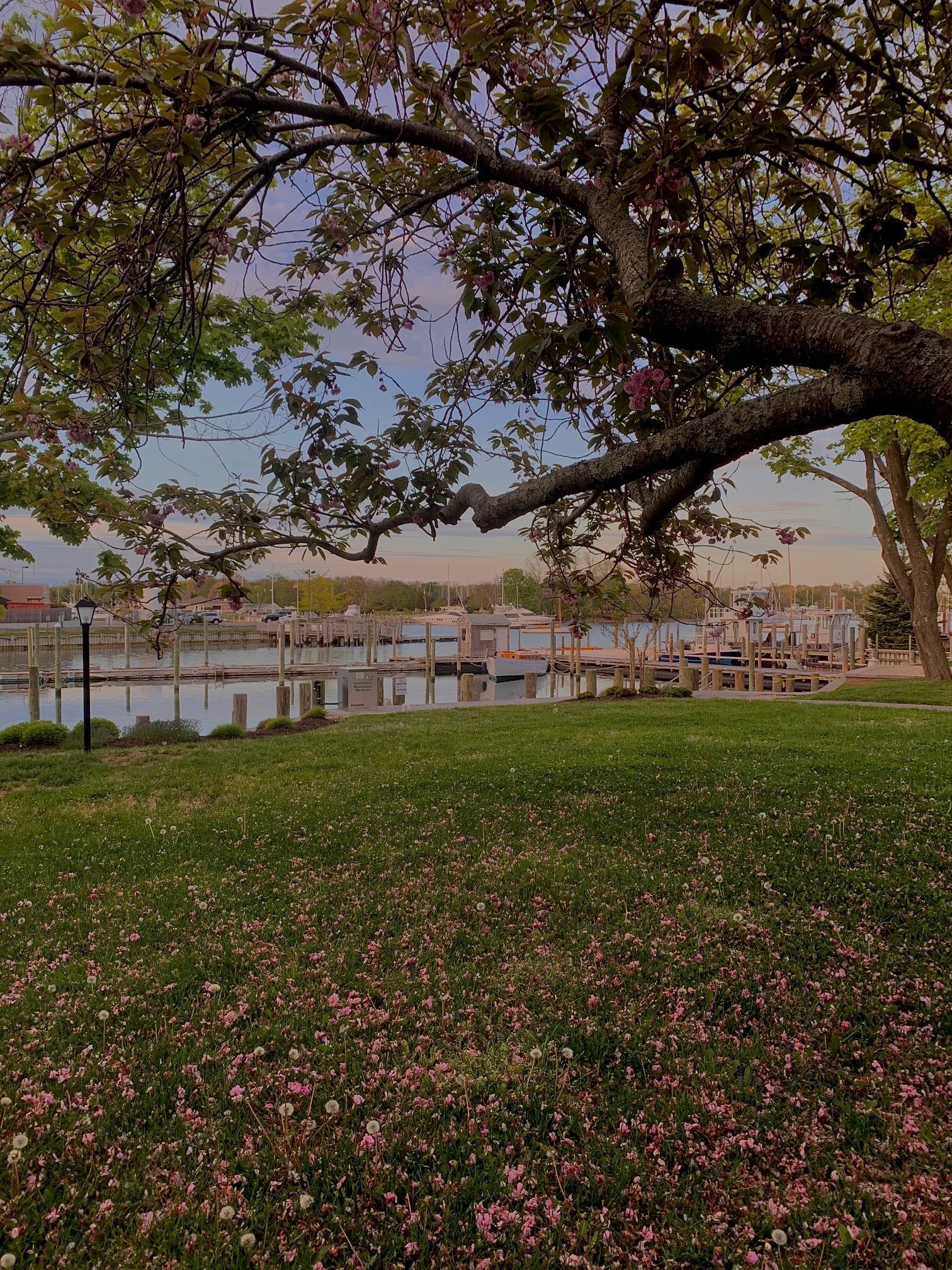 Marina | Townsend Manor Inn: Perfect for your North Fork getaway