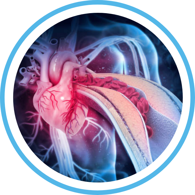 Sardocor | Cardiac Gene Therapy | Homepage