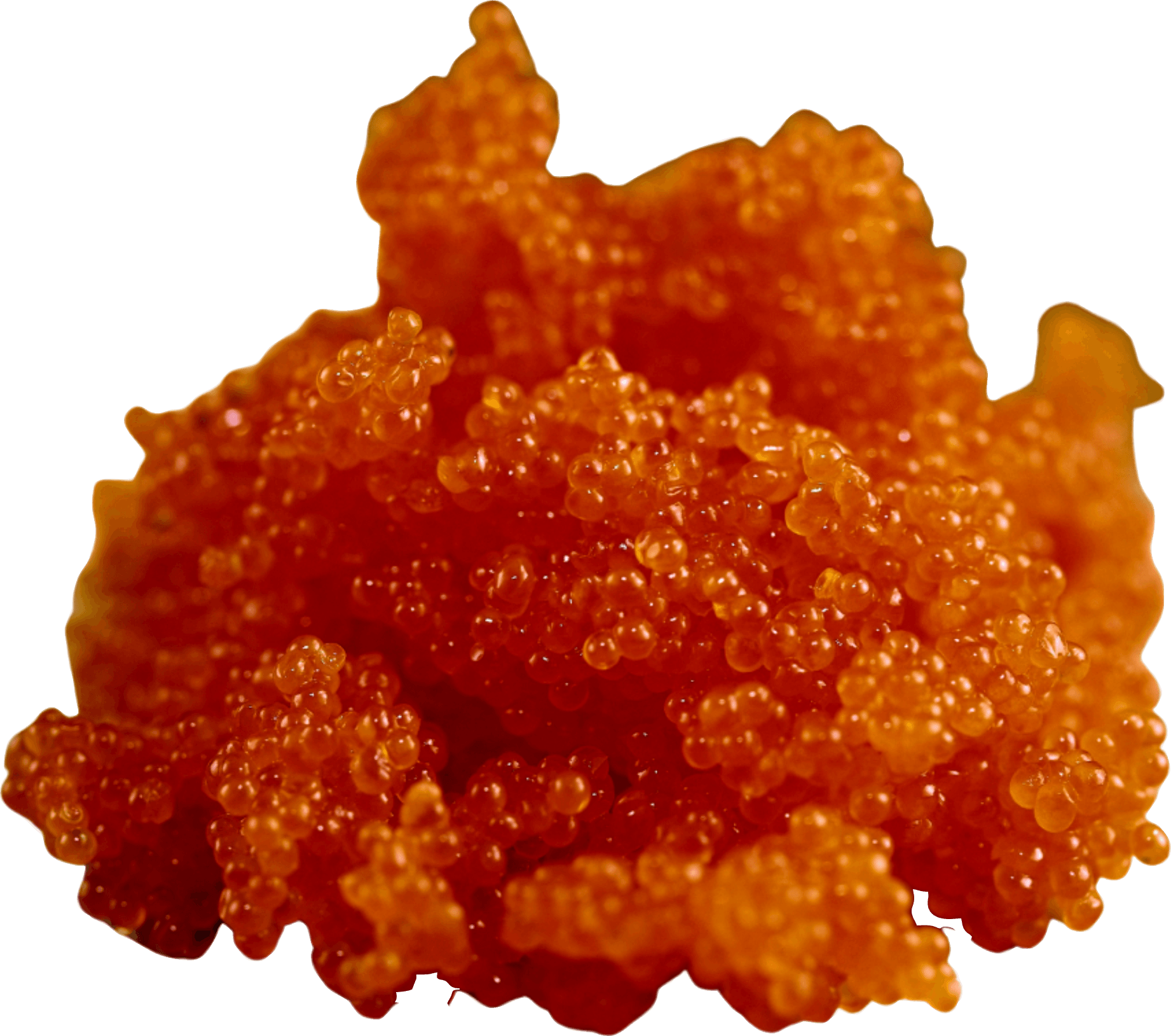 Hawaiian Style Poke | Bowls & Wraps: Ahi Tuna, Salmon | Pokémoto