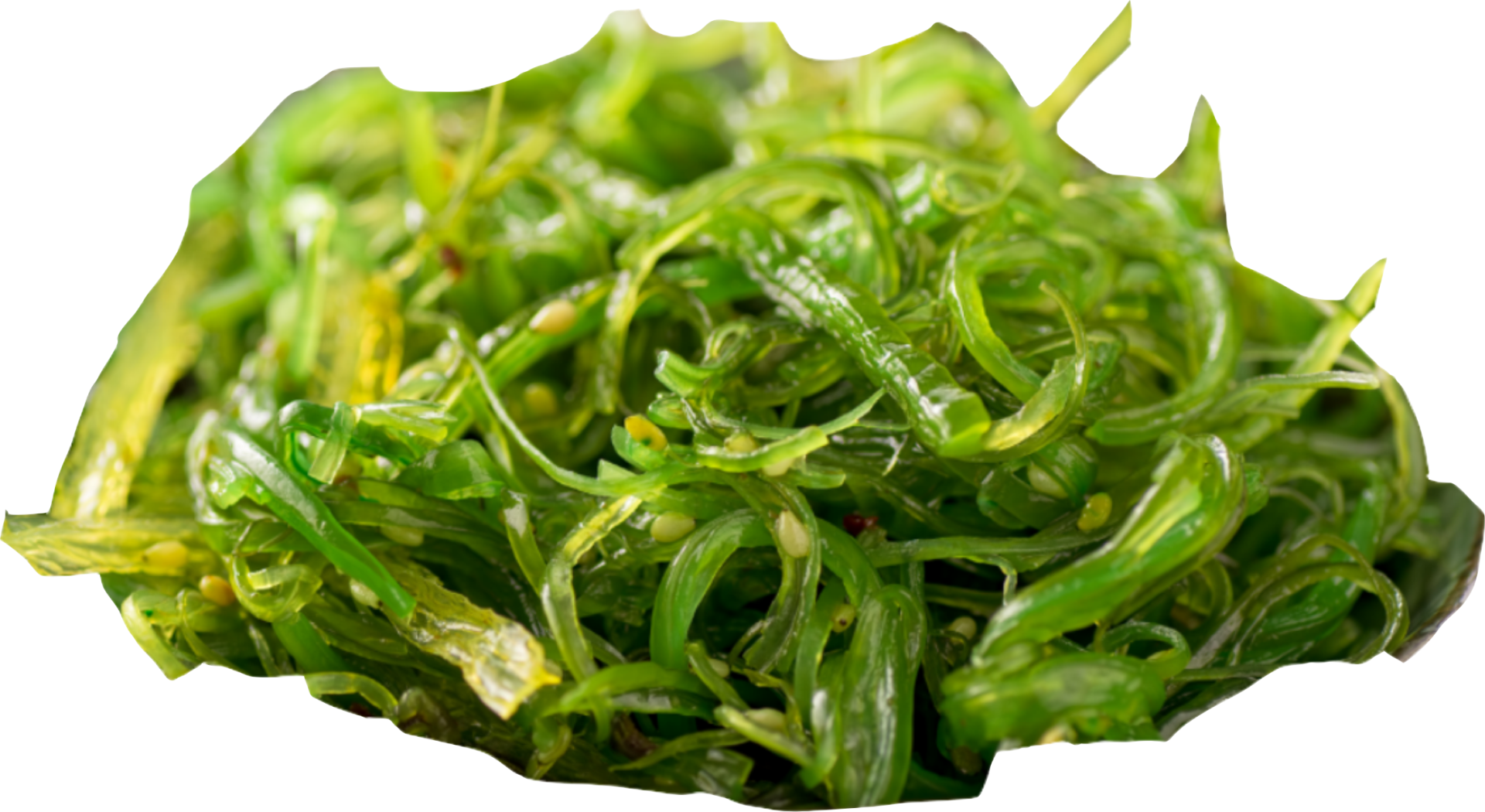 Hawaiian Style Poke | Bowls & Wraps: Ahi Tuna, Salmon | Pokémoto