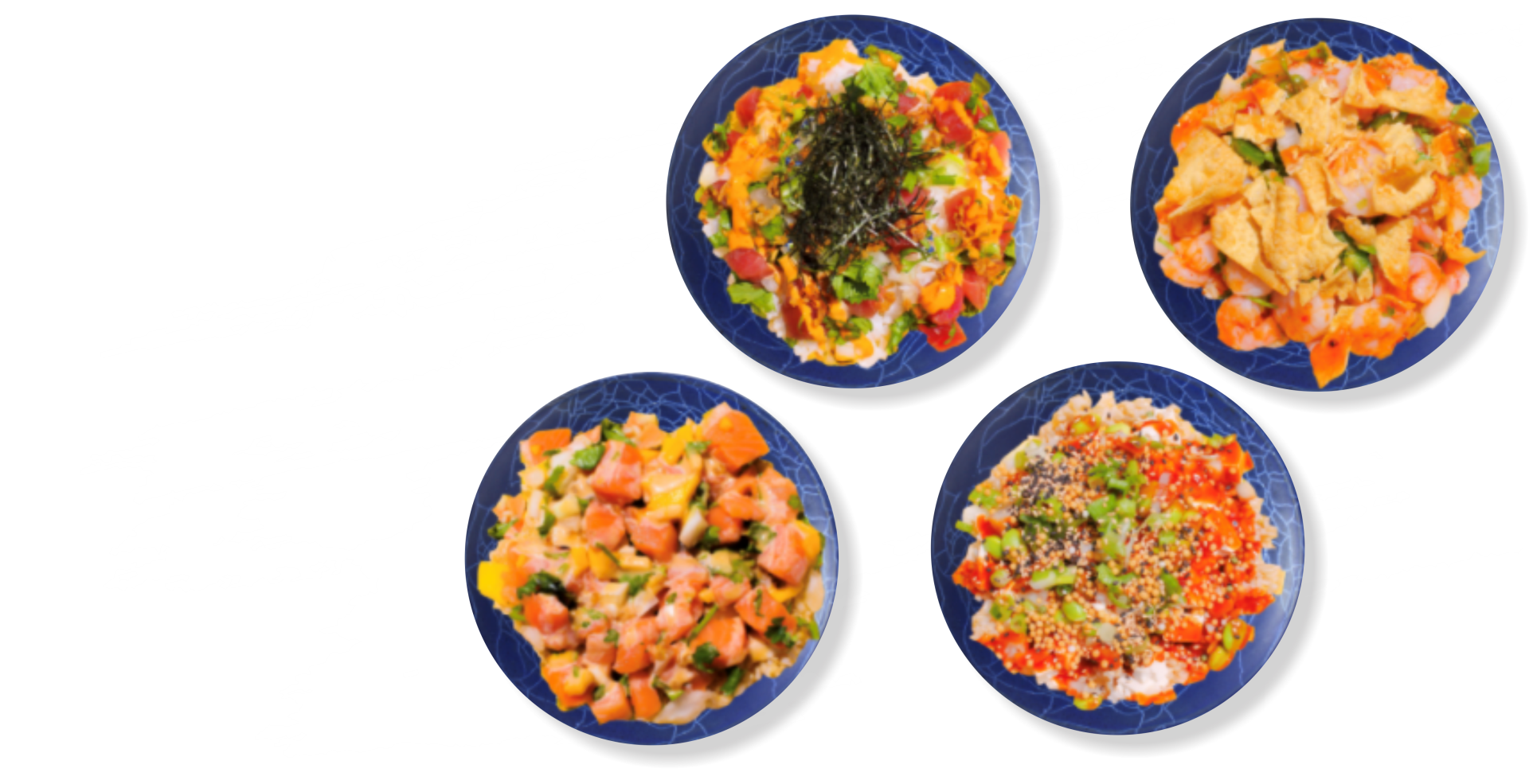 Poke Bowl Franchise | Healthy Franchise Opportunity | Pokémoto