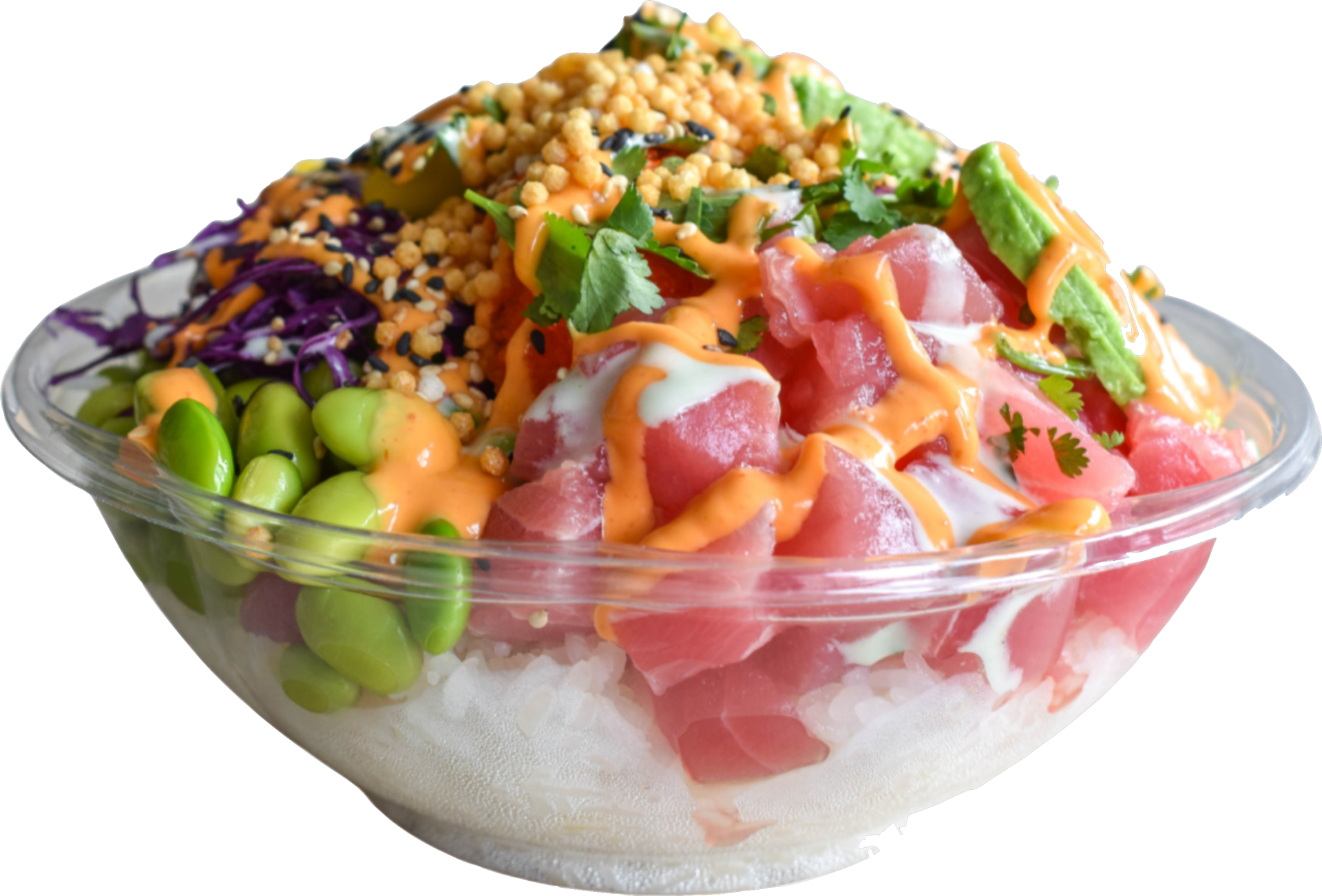 Hawaiian Style Poke | Bowls & Wraps: Ahi Tuna, Salmon | Pokémoto