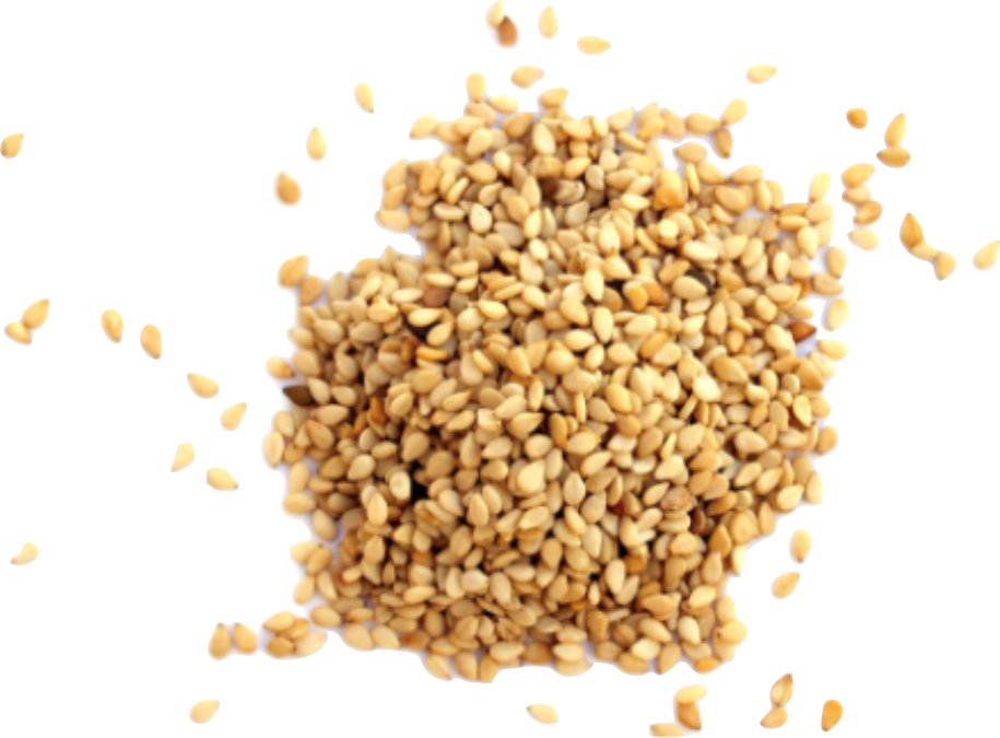 Hawaiian Style Poke | Bowls & Wraps: Ahi Tuna, Salmon | Pokémoto