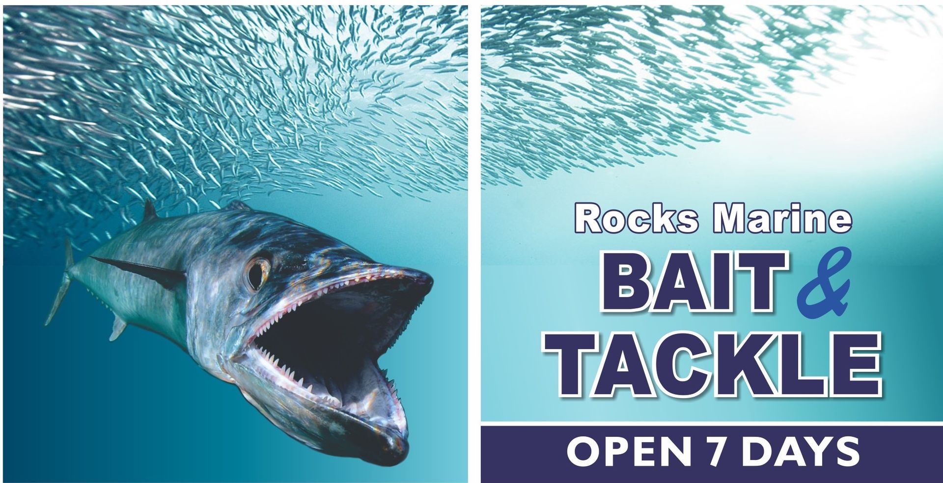 Gallery | Rocks Marine Bait & Tackle