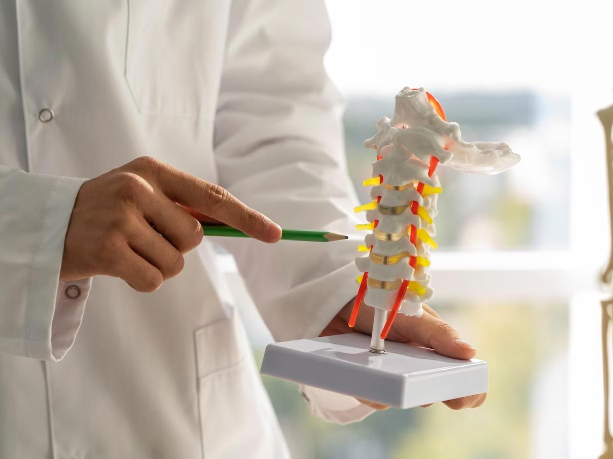 Chiropractor - Holistic Chiropractic