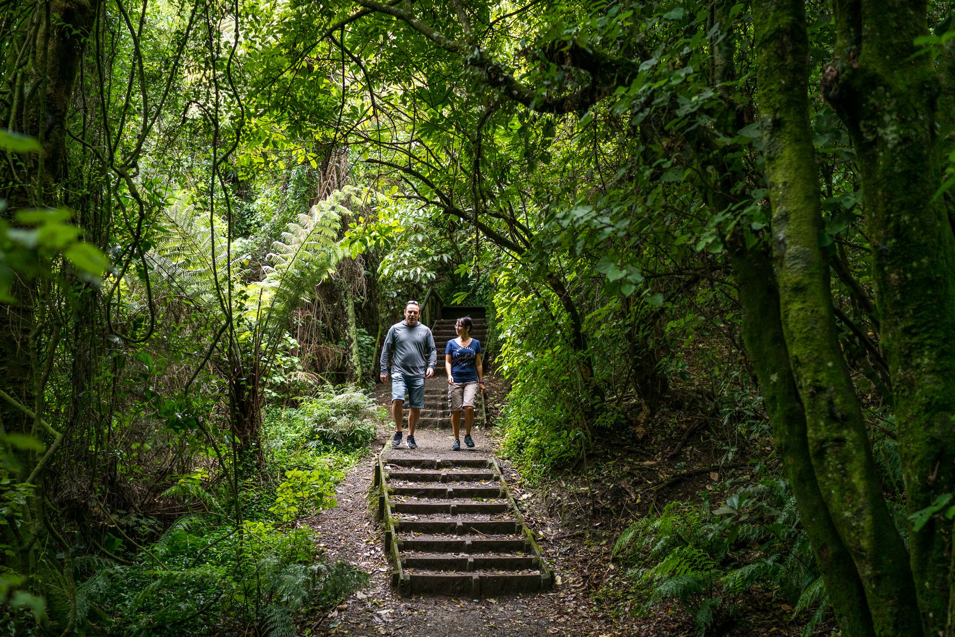 Rangitane o Manawatū Settlement Trust | Home