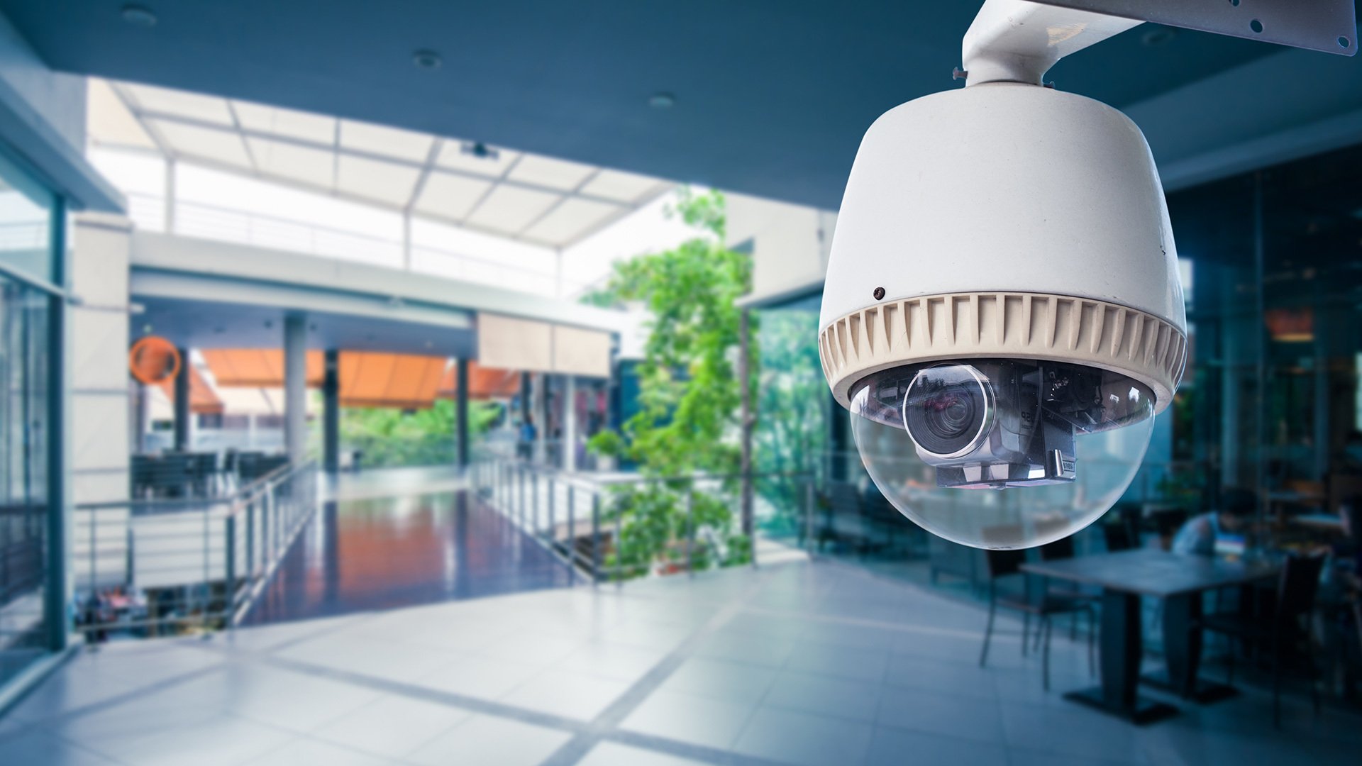 Business Security Solutions | Viper Security Technology