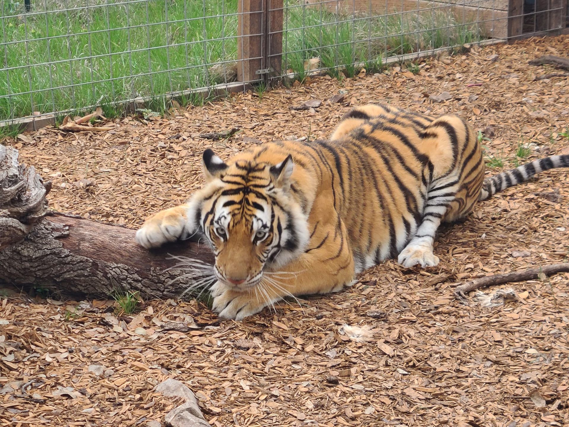 Private Zoo | TX Wildlife Park & Education Center | TX