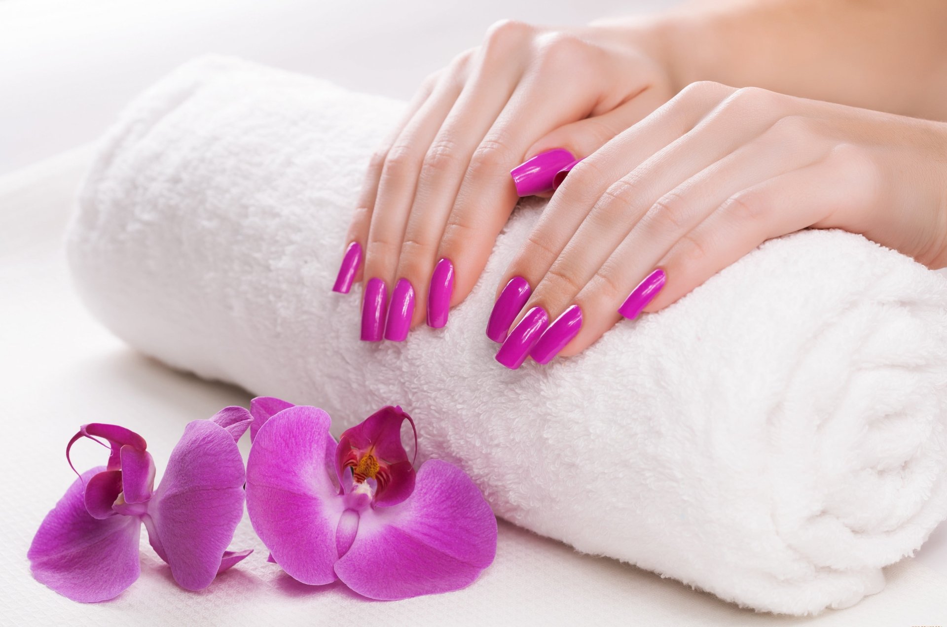Nail Envy Spa | Manicure, Pedicure, Waxing | St. Louis MO