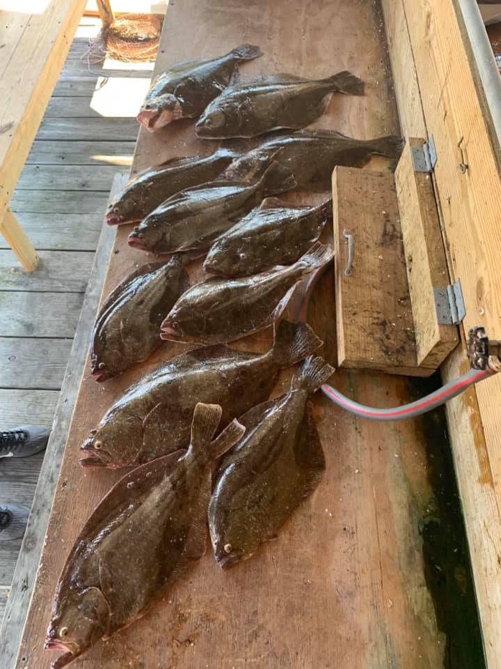 HOME [www.fishlewes.com]