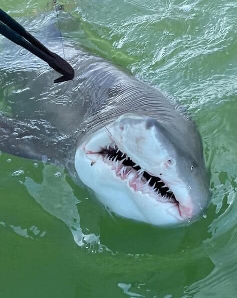 DAILY FISHING REPORT