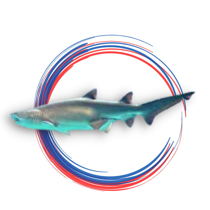 FISH ID & GUIDE