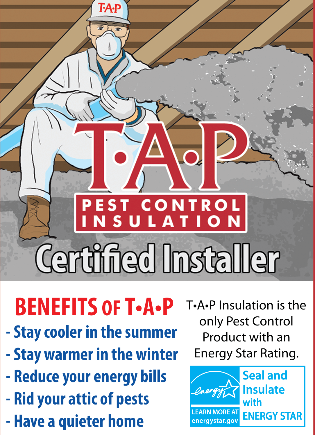 Pest Control Insulation | Lincolnton, NC | PESTEX