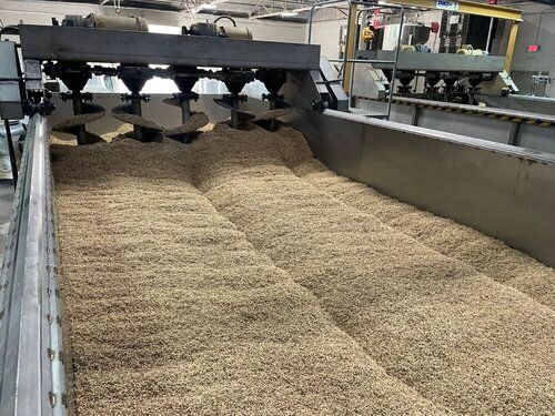 Malting 101 - Learn How Grain Becomes Malt