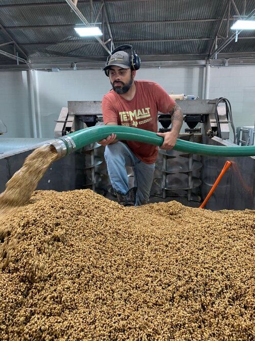 Malting 101 - Learn How Grain Becomes Malt