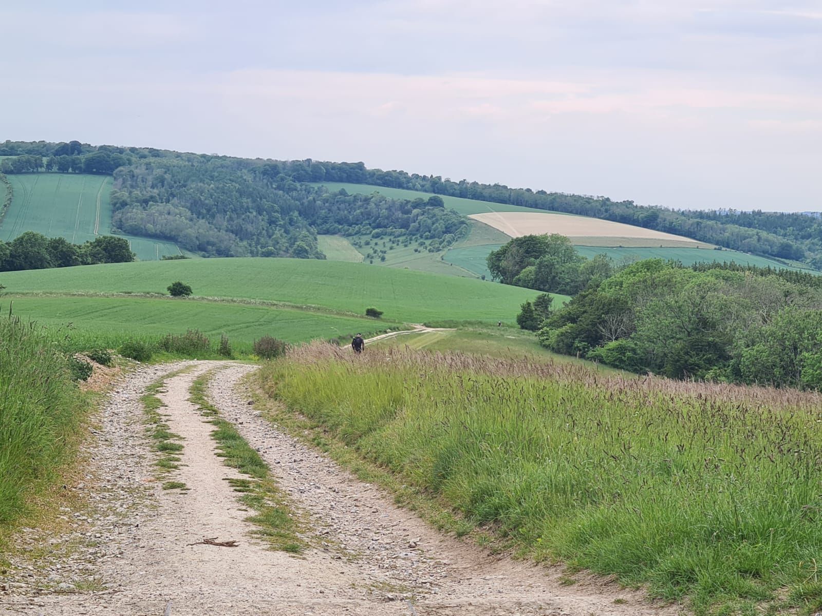 Explore Littleton Farm Campsite | GALLERY