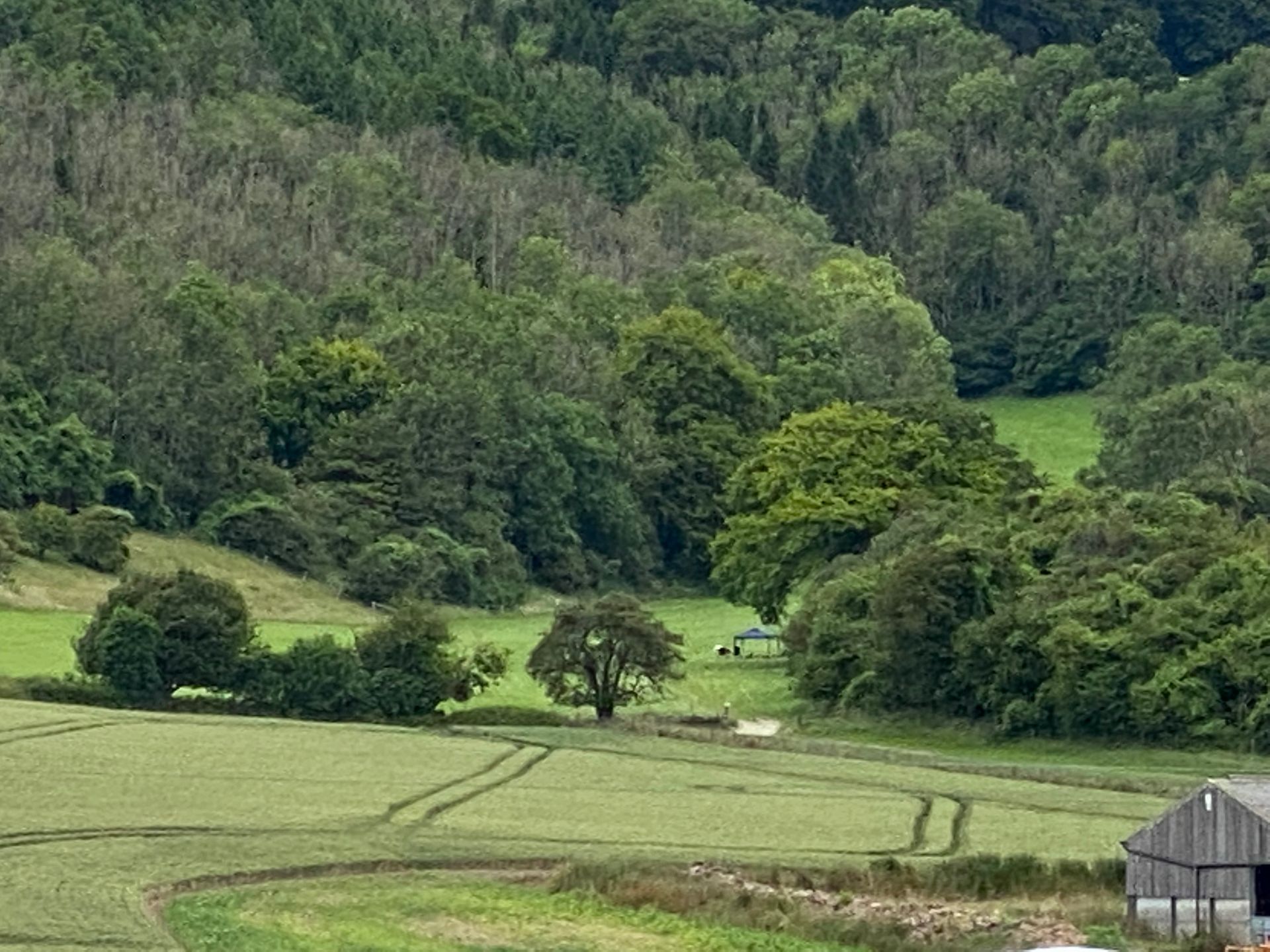 Explore Littleton Farm Campsite | GALLERY