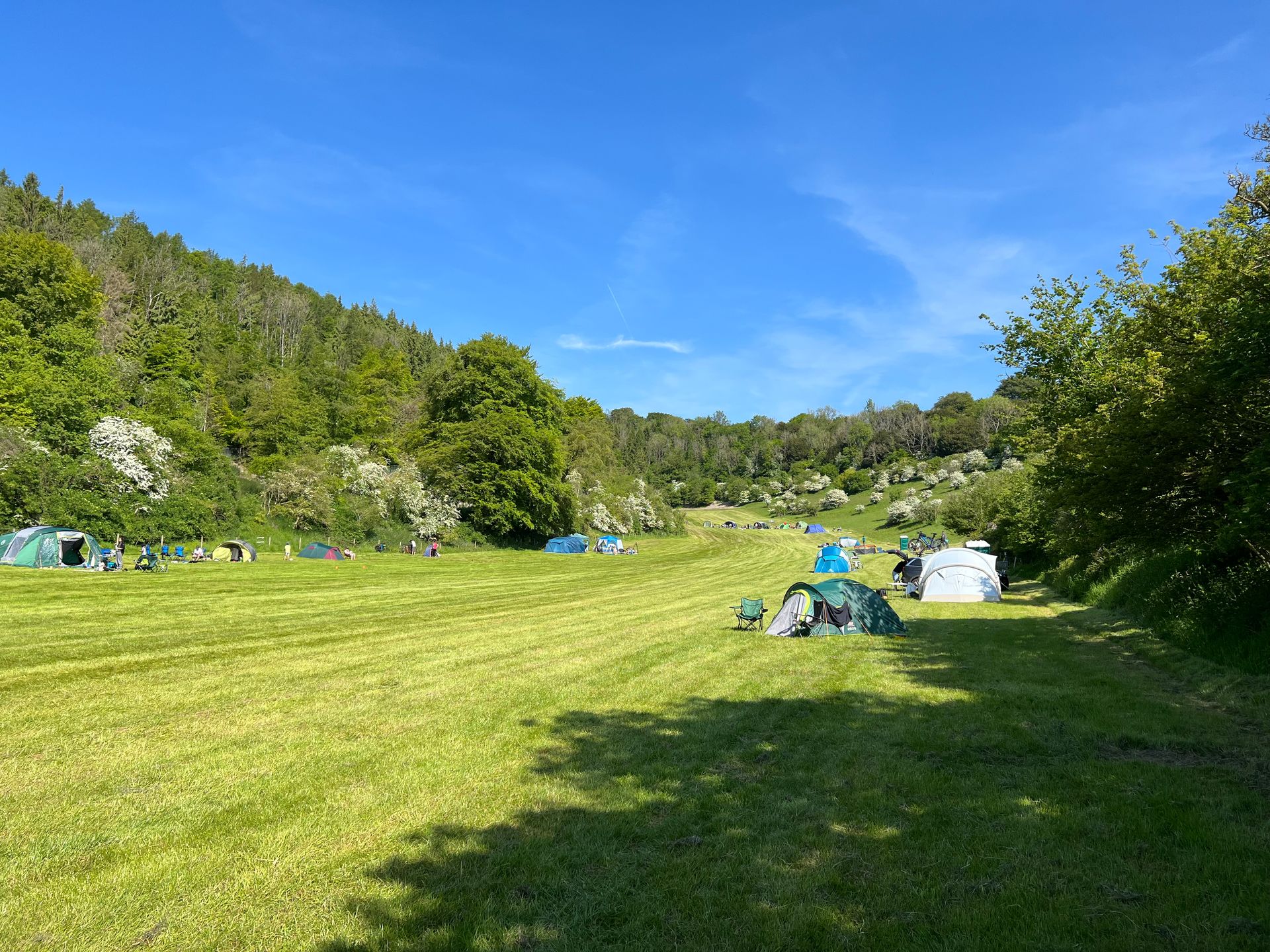Availability & Booking | Littleton Farm Campsite