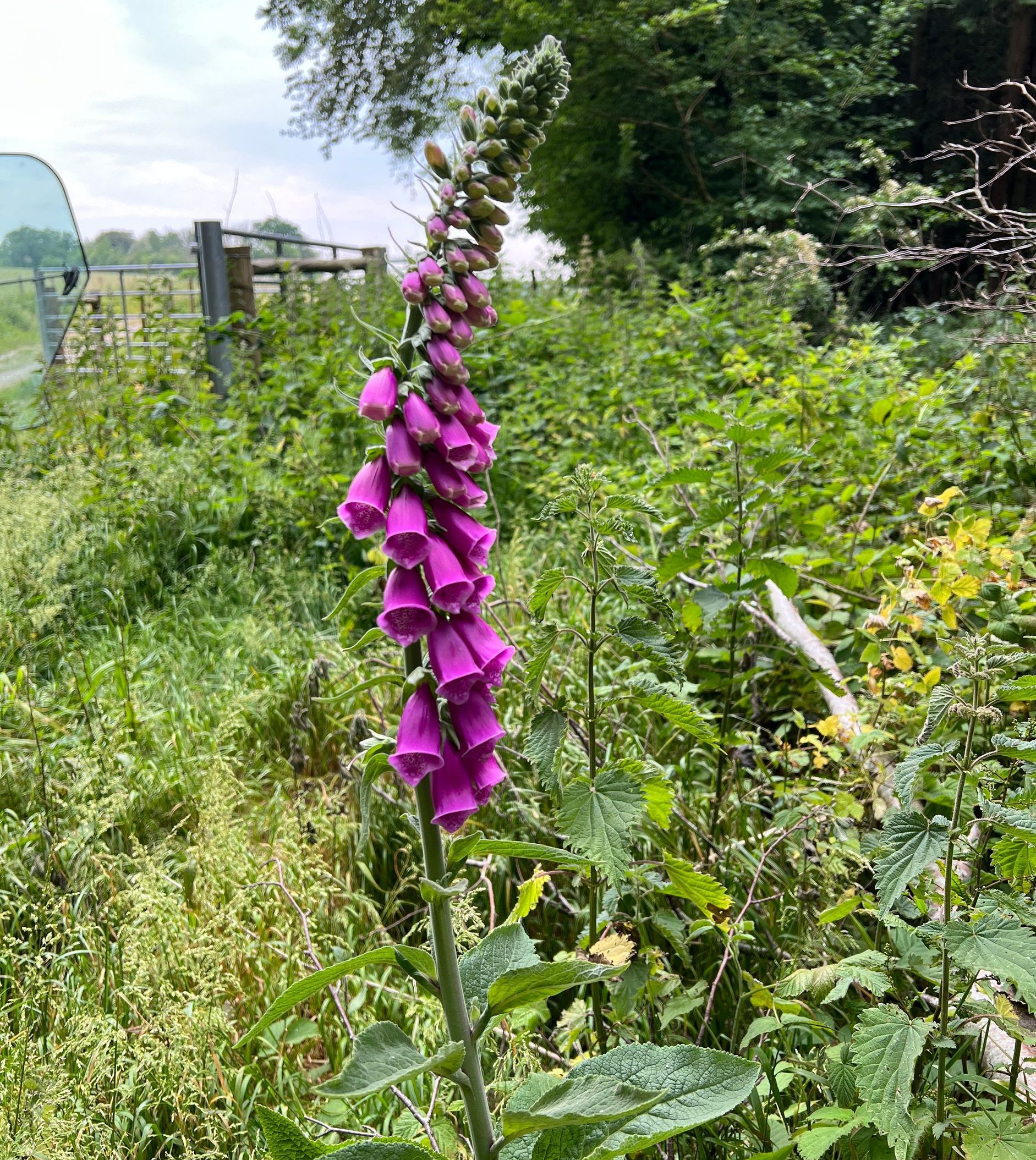 Explore Littleton Farm Campsite | GALLERY