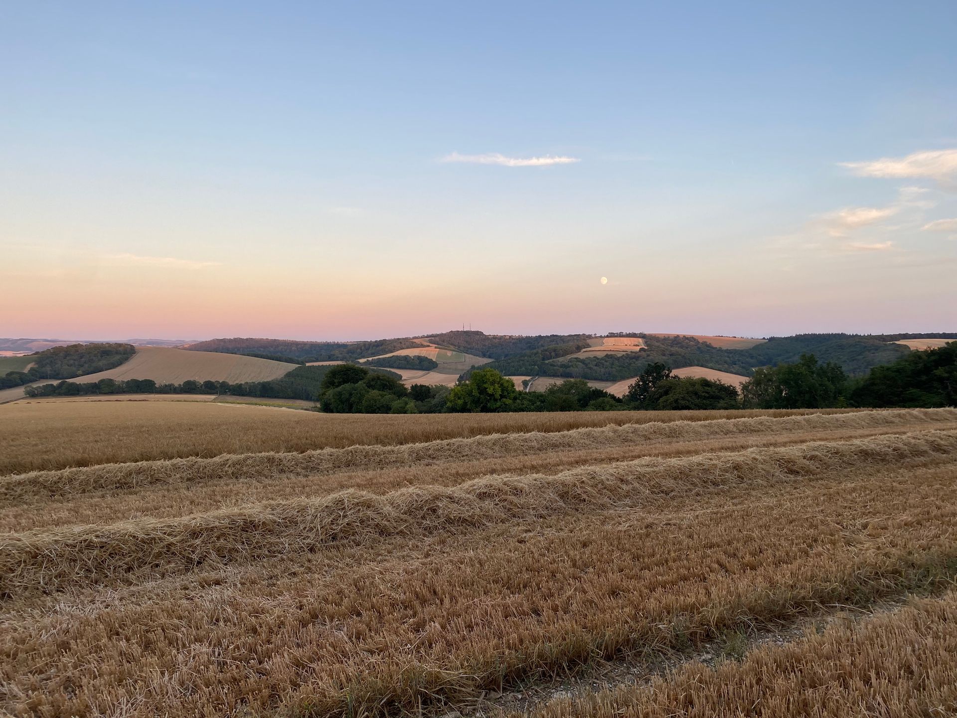 Explore Littleton Farm Campsite | GALLERY