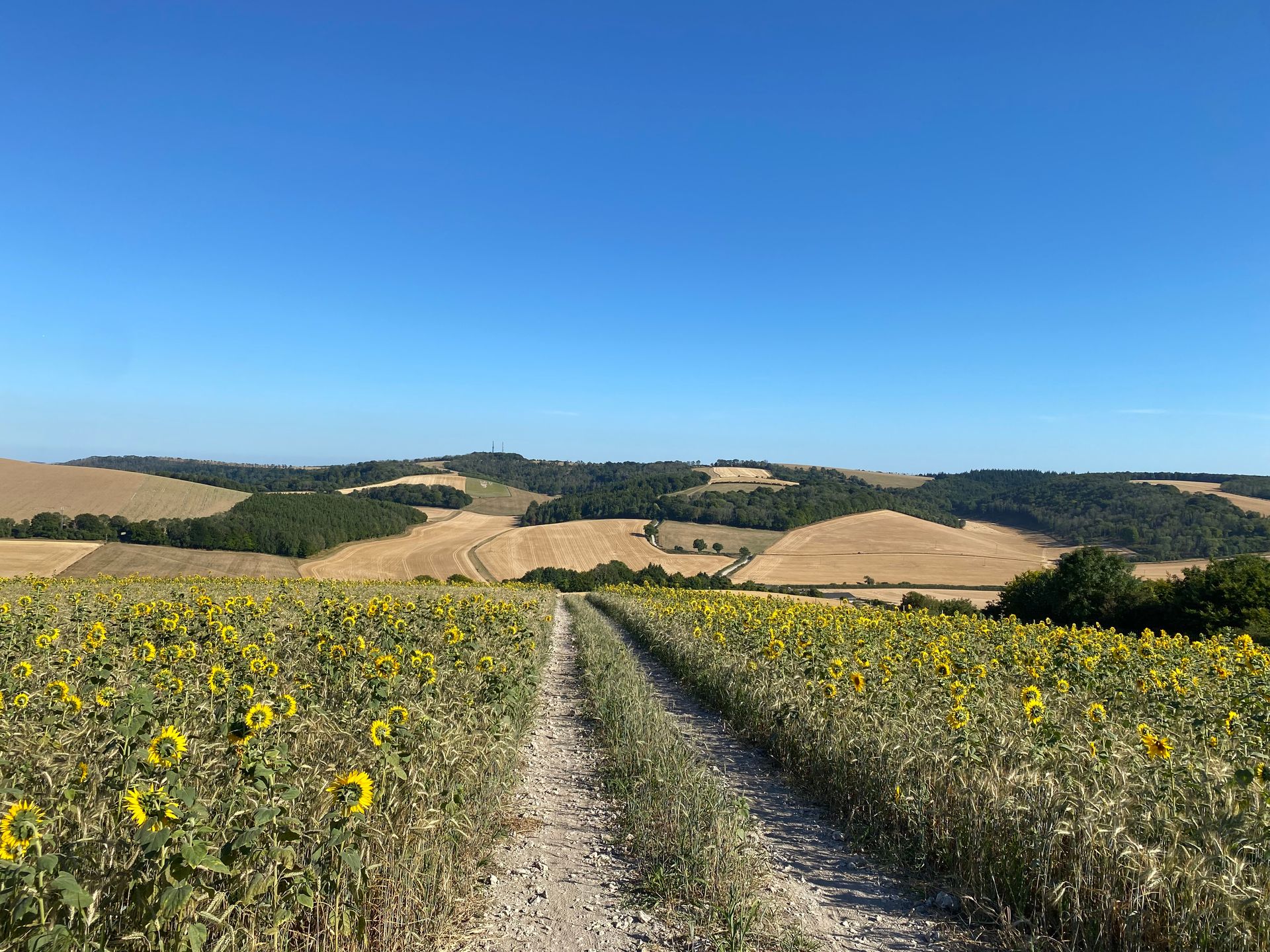 Explore Littleton Farm Campsite | GALLERY