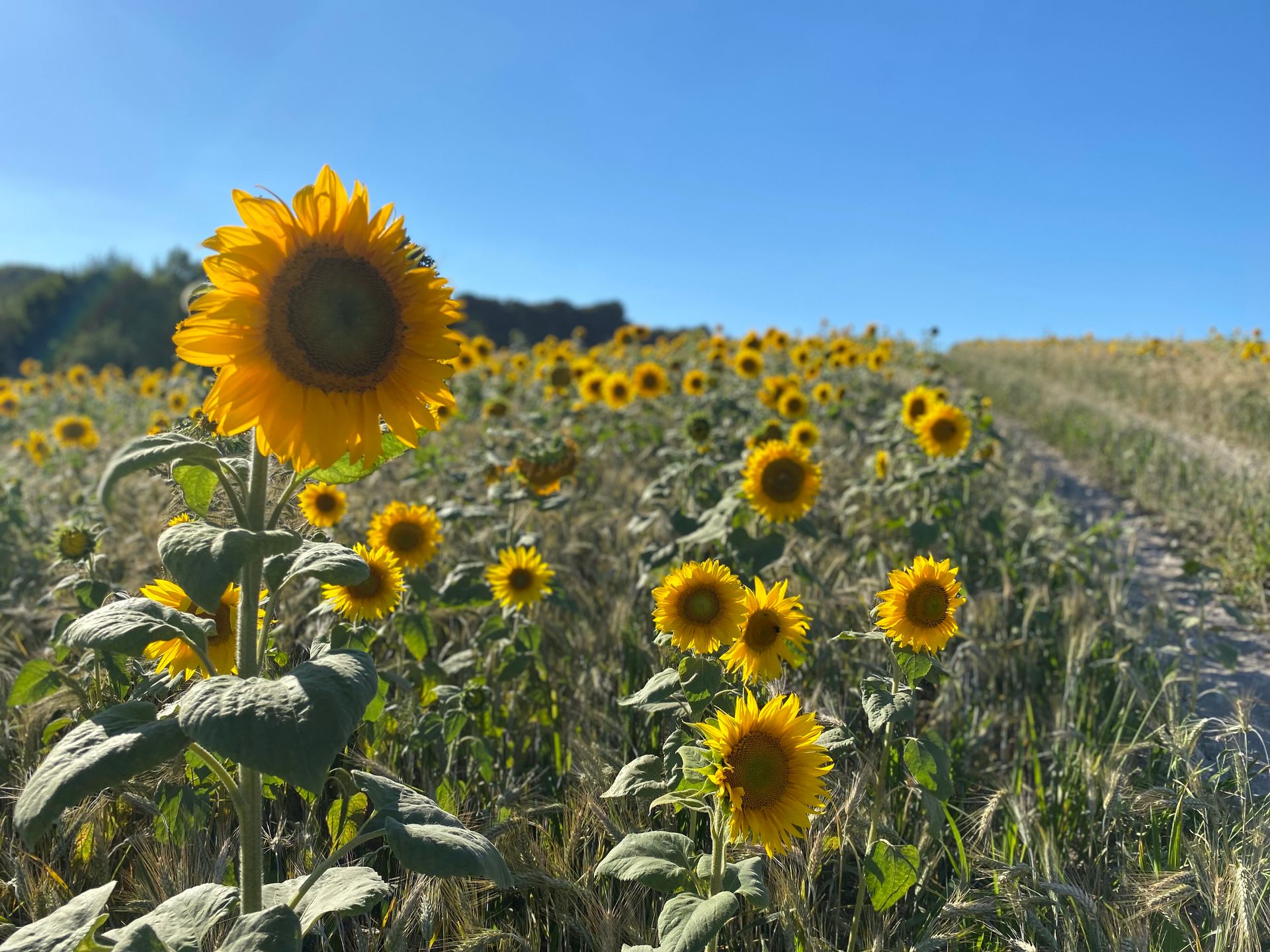 Explore Littleton Farm Campsite | GALLERY