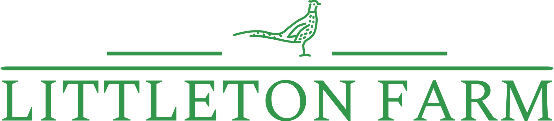 Camping on the South Downs Way | Littleton Farm Campsite