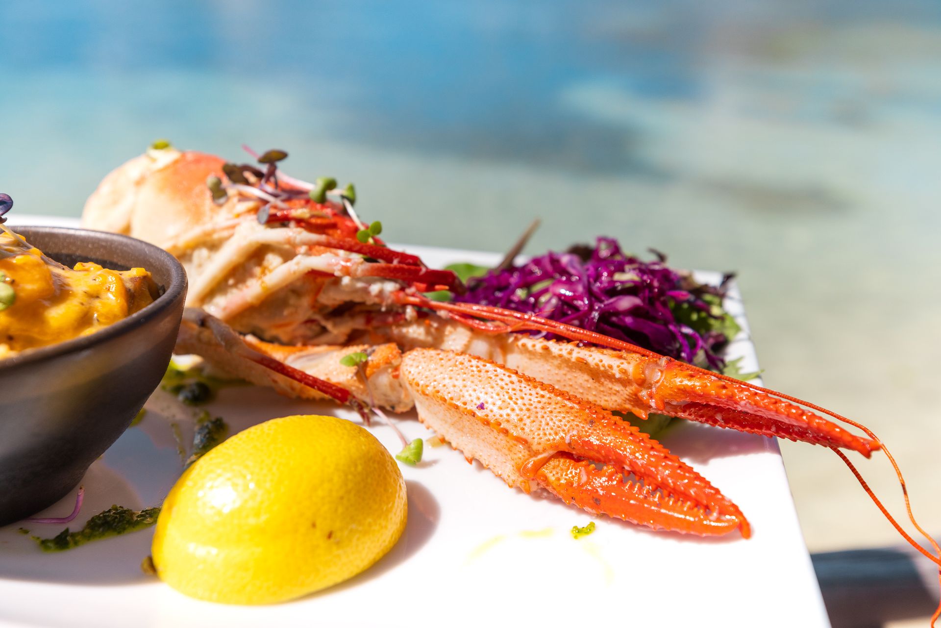 Some of our best pictures | Le Karibuni