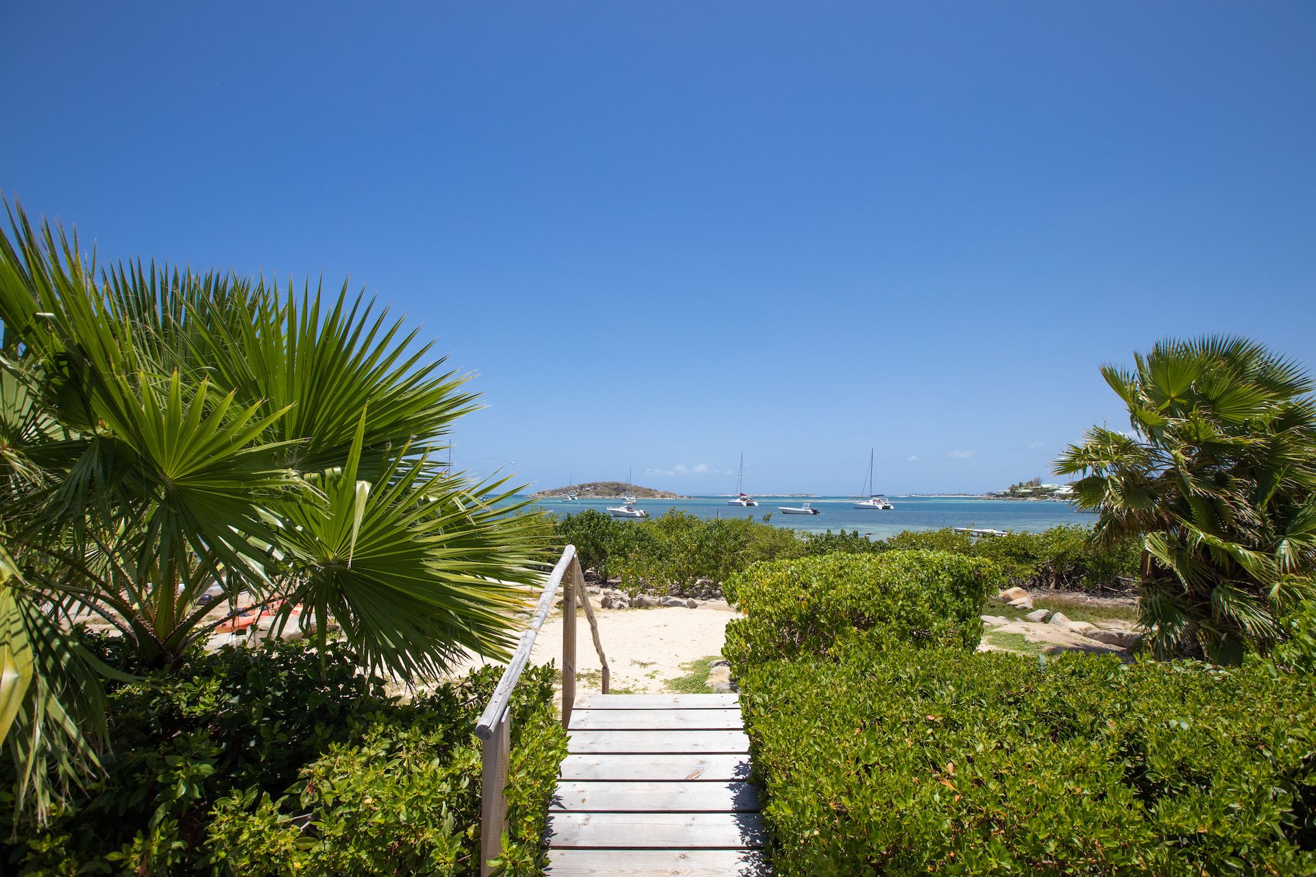 Some of our best pictures | Le Karibuni