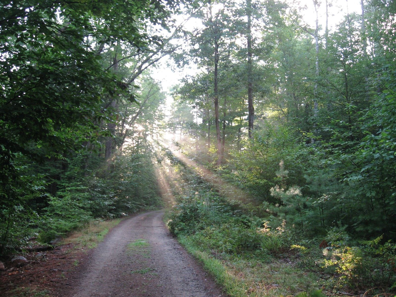 35 Best Corporate Event Ideas to Boost Engagement | Geneva Point