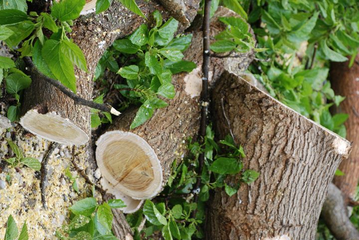 Junk Removal in Lancaster, SC | Dependable Dumpster Service