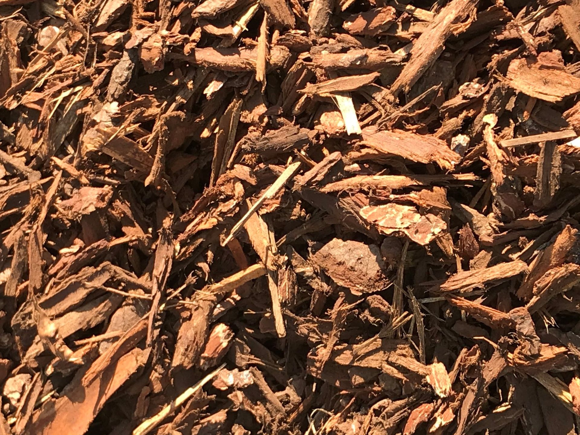 Bark Supplier | Boring, OR | Mt. Scott
