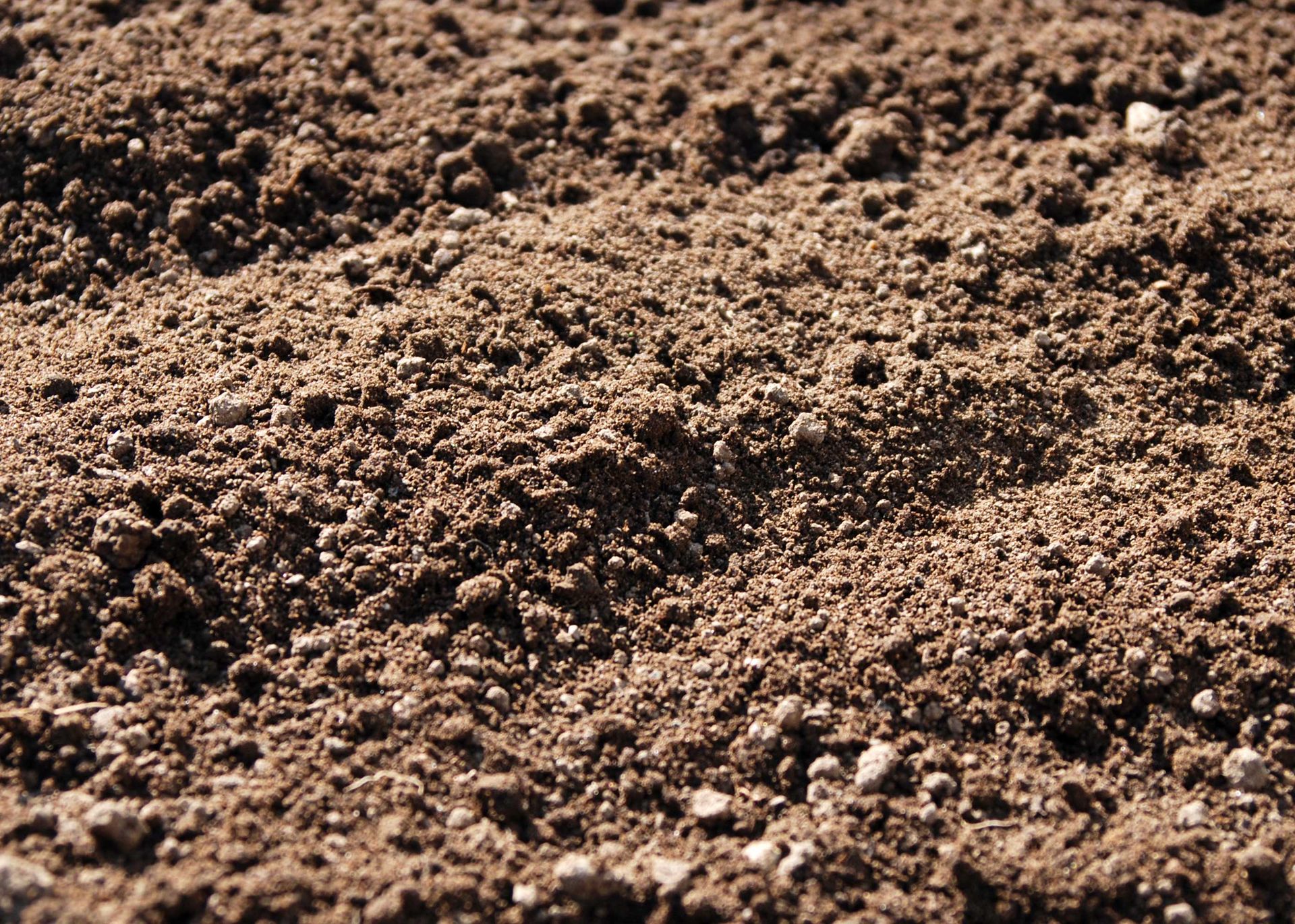 High-Quality Soil Mixes | Boring, OR | Mt. Scott