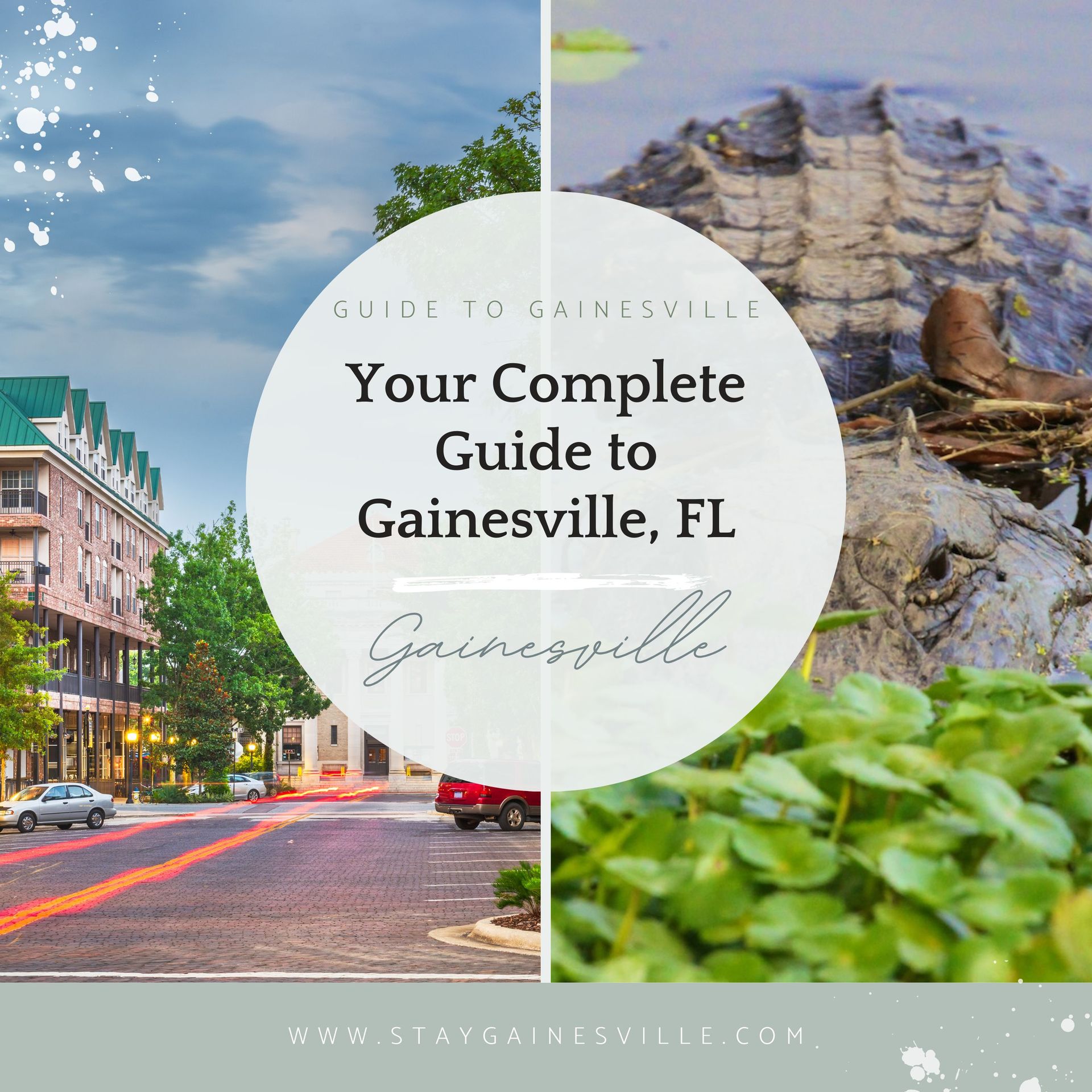 The Ultimate Gainesville Weekend Itinerary: What To Do