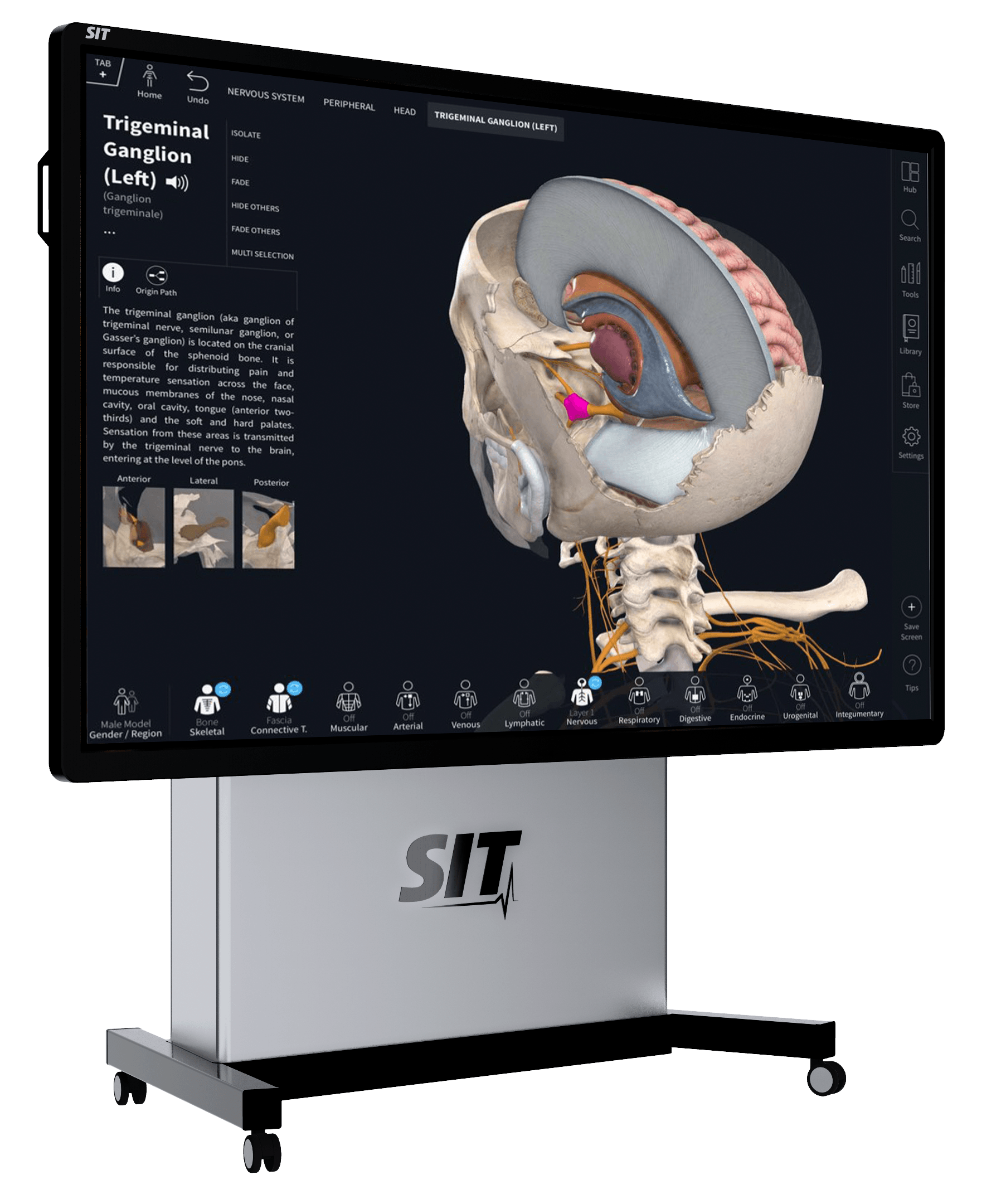 SIT HEALTH - Soluciones Médicas Virtuales
